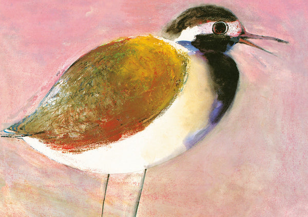 Brian Wildsmith Birds Herons and Plover – ArtPress Publishing Ltd