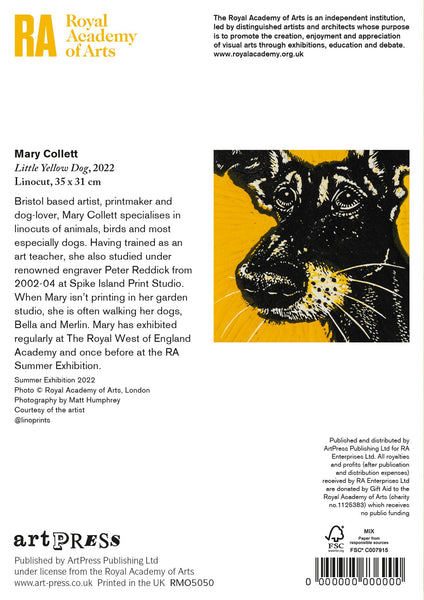 Mary Collett – ArtPress Publishing Ltd