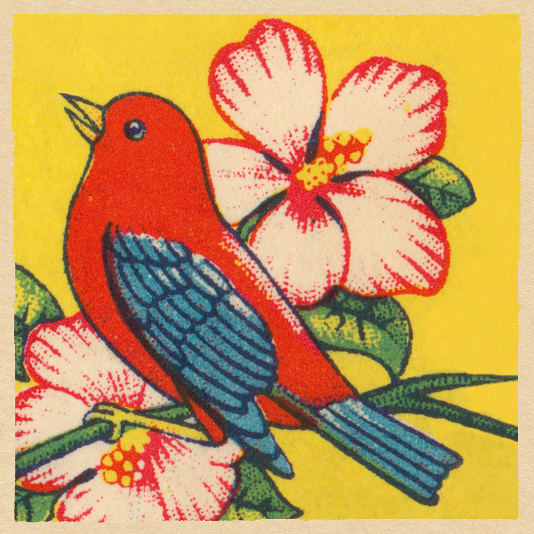 Vintage Matchbox - Animals – ArtPress Publishing Ltd